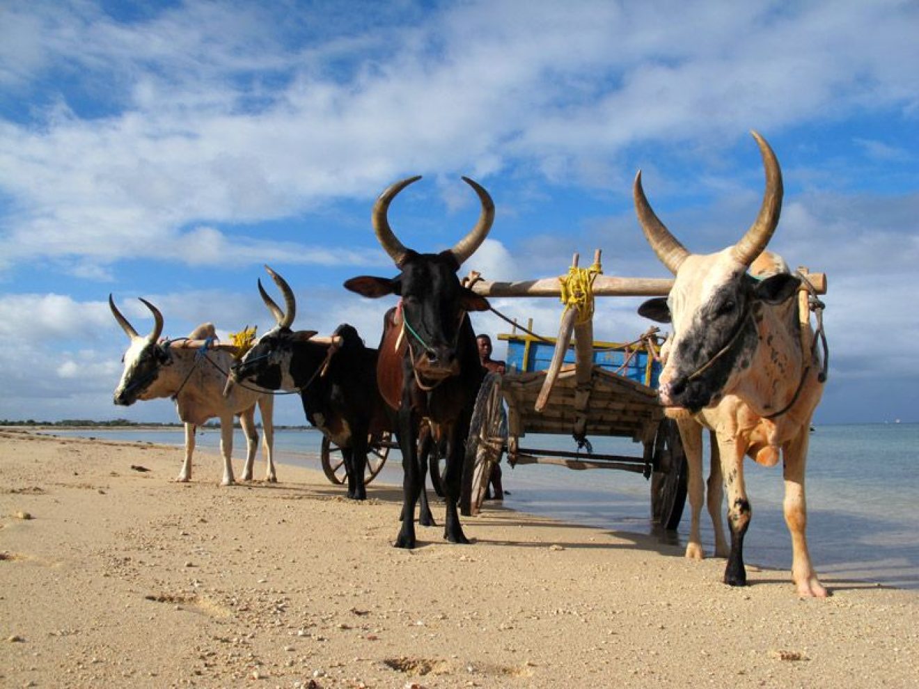 Histoire du transport à Madagascar - Tour Malin Madagascar