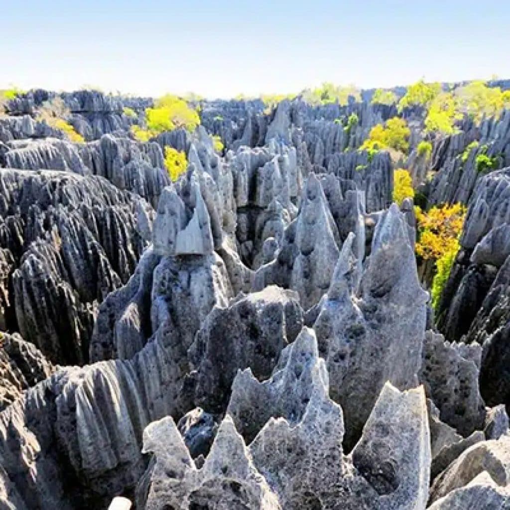Culture de Madagascar : Le "Santa-bary" | Tour Malin Madagascar